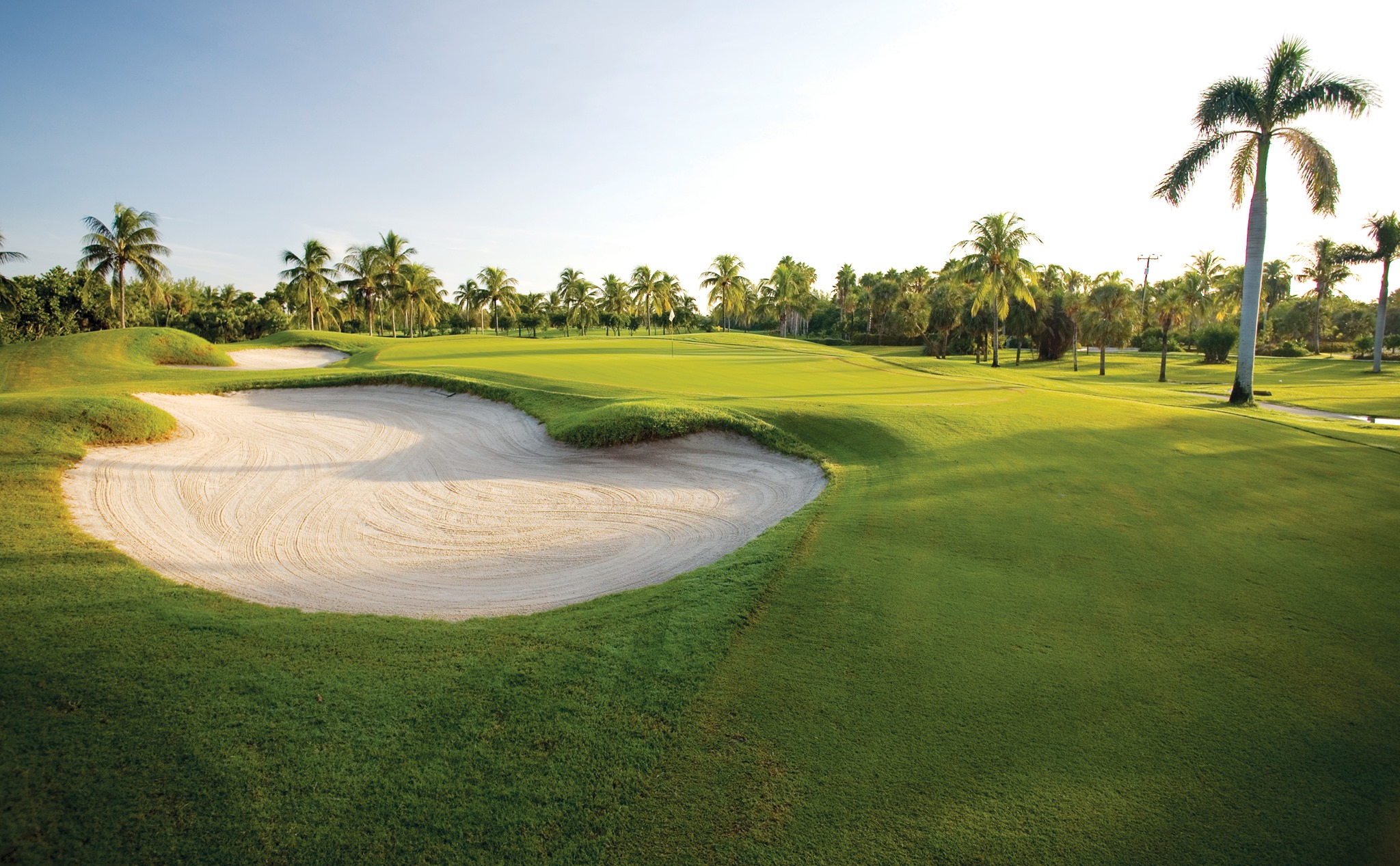 Home - Miami-Dade County Golf