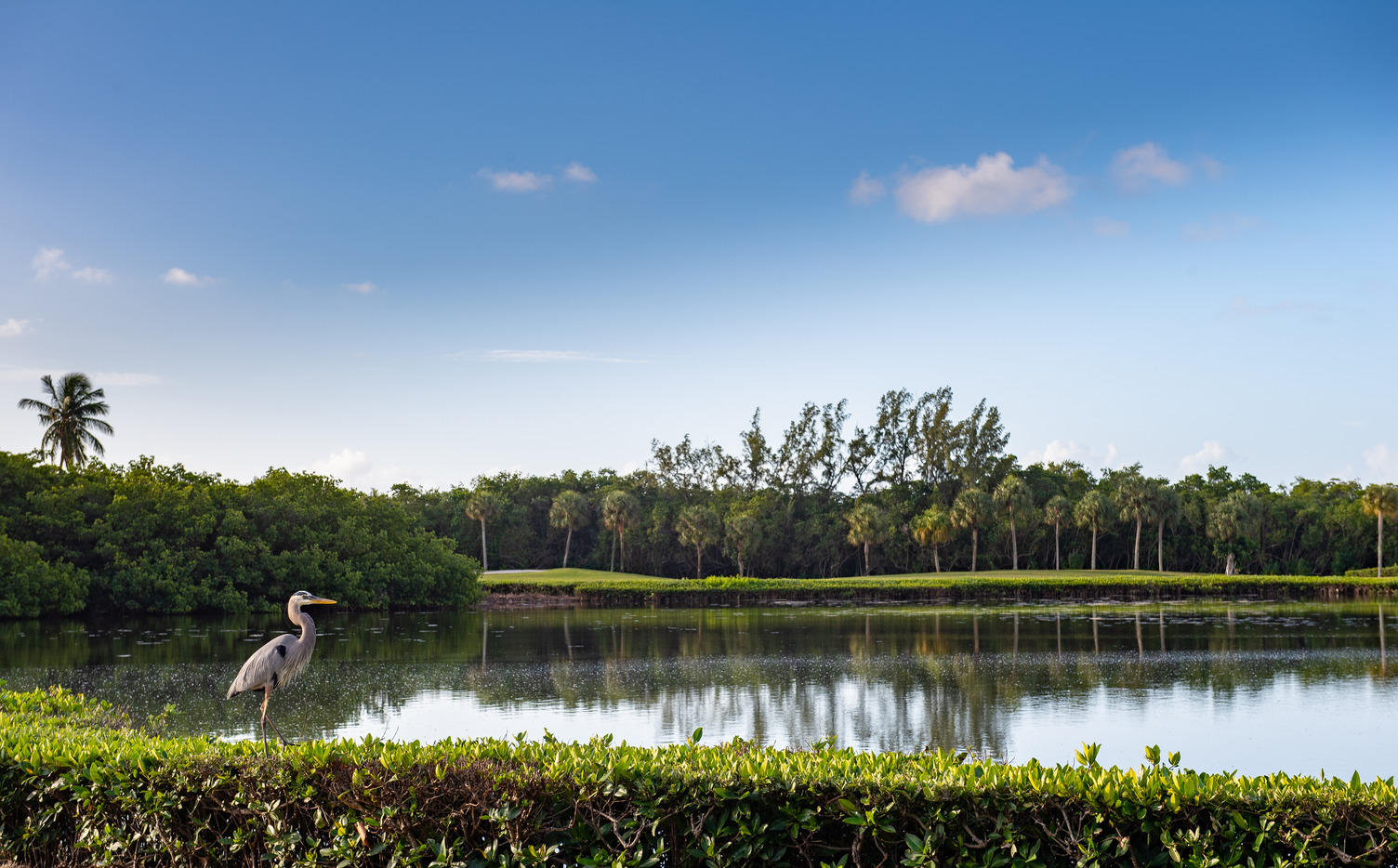Home - Miami-Dade County Golf